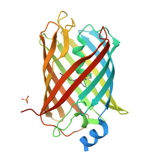 RCSB PDB - 9FFI: mScarlet (SG C5) - Directionality of Optical ...