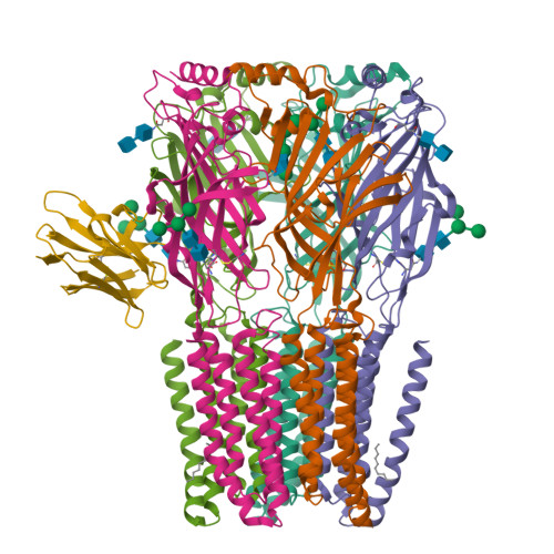 RCSB PDB - 9FFM: Cryo-EM structure of the alpha1beta3 GABA(A) receptor ...