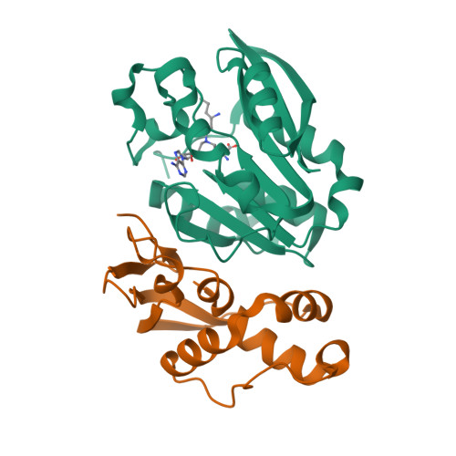 RCSB PDB - 9FKM: compound 2b bound KMT9 crystal structure
