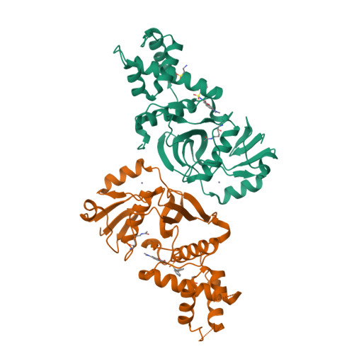 RCSB PDB - 9FKR: KAT6A IN COMPLEX WITH SMALL MOLECULE INHIBITOR BAY-184