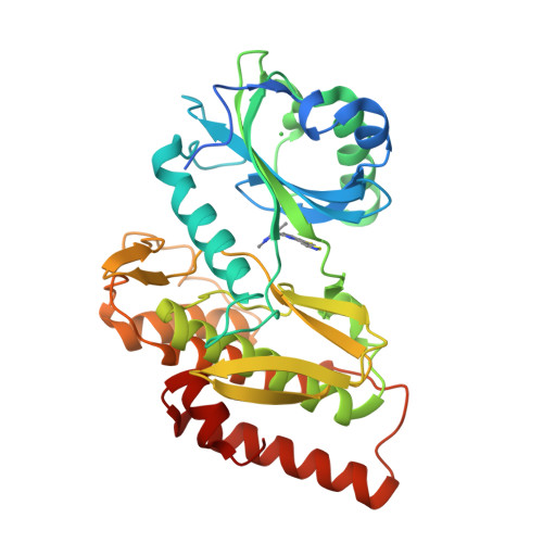 RCSB PDB - 9FLO: Crystal structure of human Haspin (GSG2) kinase bound ...