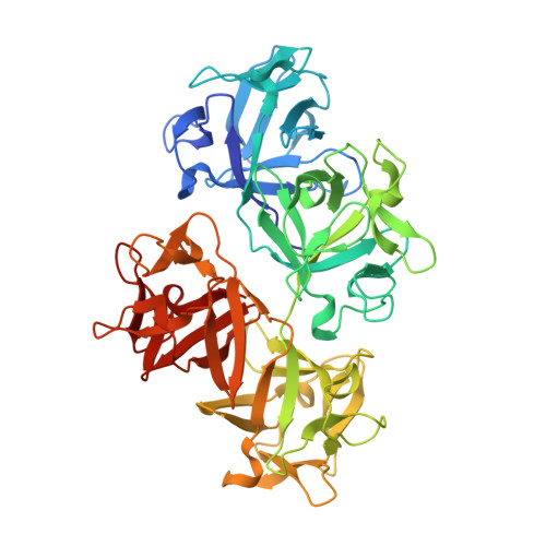 RCSB PDB - 9FN6: Full-length crystal structure of human Fascin 1