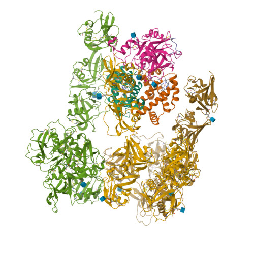RCSB PDB - 9FNO: Cryo-EM structure of human CD163 SRCR1-9 in complex ...