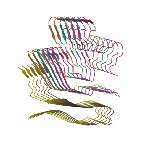 RCSB PDB - 9FOF: Structure of heteromeric amyloid filament of TDP-43 ...