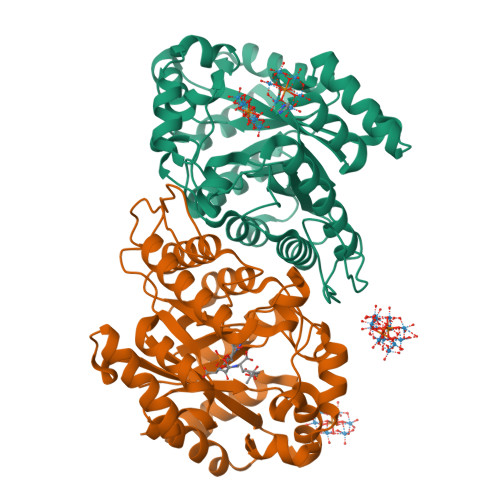 RCSB PDB - 9FPP: FGD2 (Rv0132c) from Mycobacterium tuberculosis with ...