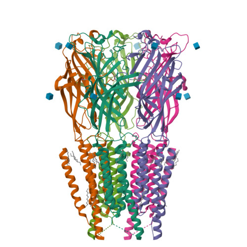 RCSB PDB - 9FRF: CryoEM structure of human rho1 GABAA receptor in ...