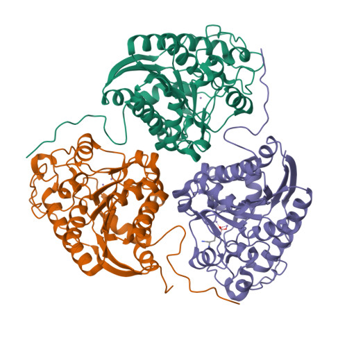 RCSB PDB - 9FRV: Arginase 2 in complex with inhibitor