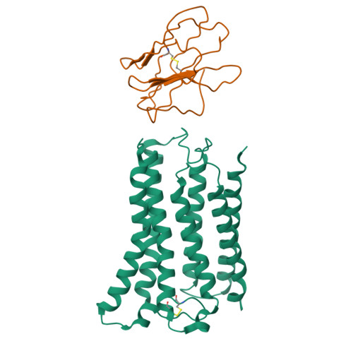 RCSB PDB - 9FTE: Cryo-EM structure of the adhesion GPCR ADGRV1 in ...