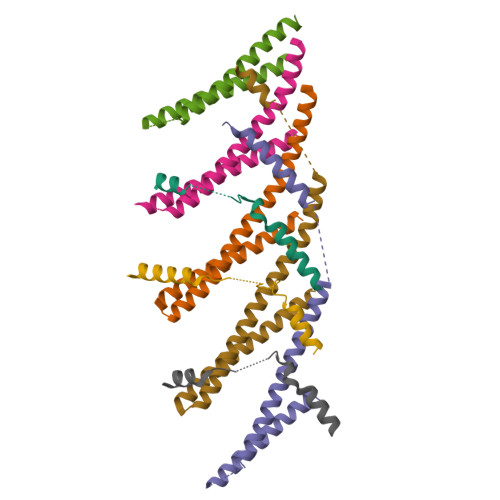 RCSB PDB - 9FTM: Asgard ESCRT-IIIB membrane-bound protofilament structure