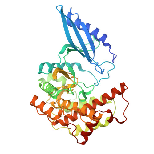 RCSB PDB - 9FU5: 25-hydroxy steroid kinase + AMP
