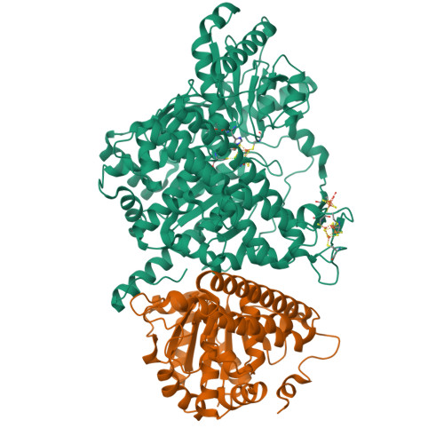 RCSB PDB - 9FU9: Wobbly CODH/ACS in the methylated state