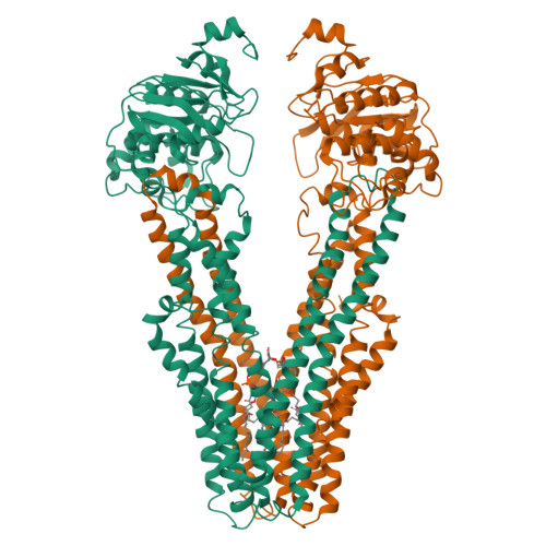 RCSB PDB - 9FV0: MsbA in MSP1D1 Nanodisc inward-facing narrow open