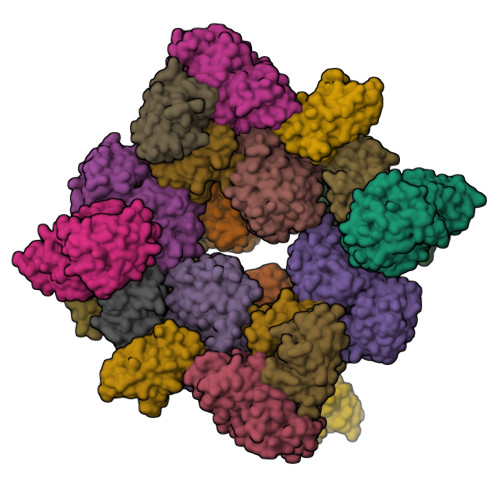 RCSB PDB - 9FVE: Crystal structure of VcSiaP W73A mutant in complex ...