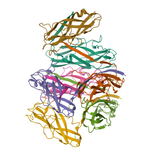 RCSB PDB - 9FX0: Cryo-EM structure of the type 1 pilus tip-to-rod ...