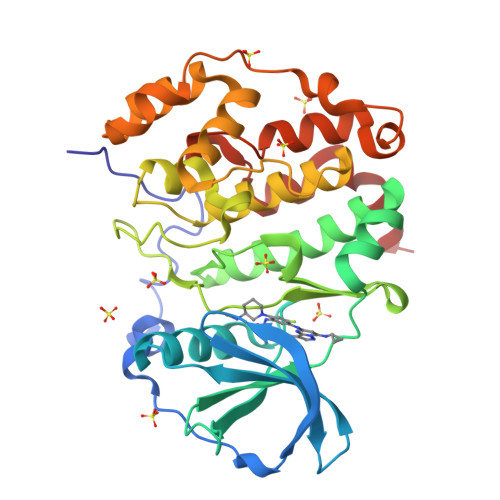 RCSB PDB - 9FYF: Crystal structure of human Casein Kinase II subunit ...