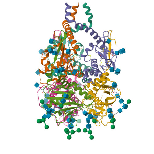 RCSB PDB - 9FYG: Structure of the Sabia Virus spike complex H157M ...