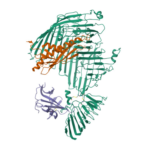 RCSB PDB - 9FZ5: Cryo-EM structure of LptDE-YedD complex from ...