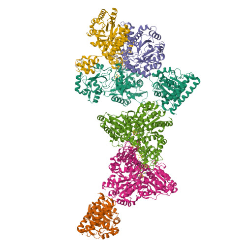 RCSB PDB - 9FZZ: Structure of carbon monoxide dehydrogenase/acetyl-CoA ...