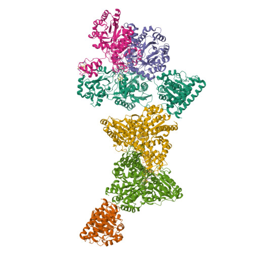 RCSB PDB - 9G00: Structure of carbon monoxide dehydrogenase/acetyl-CoA ...