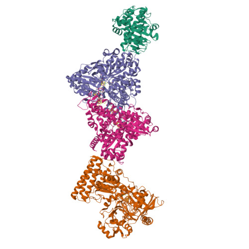 RCSB PDB - 9G01: Structure of carbon monoxide dehydrogenase/acetyl-CoA ...