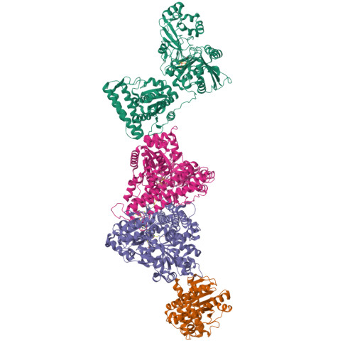RCSB PDB - 9G02: Structure of carbon monoxide dehydrogenase/acetyl-CoA ...