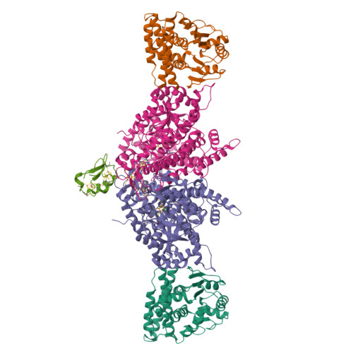 RCSB PDB - 9G03: Structure of carbon monoxide dehydrogenase/acetyl-CoA ...