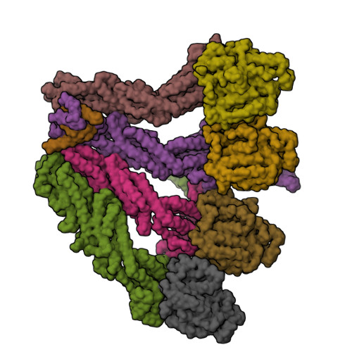 RCSB PDB - 9G3X: Structure of the Partially-assembled gamma-Tubulin ...