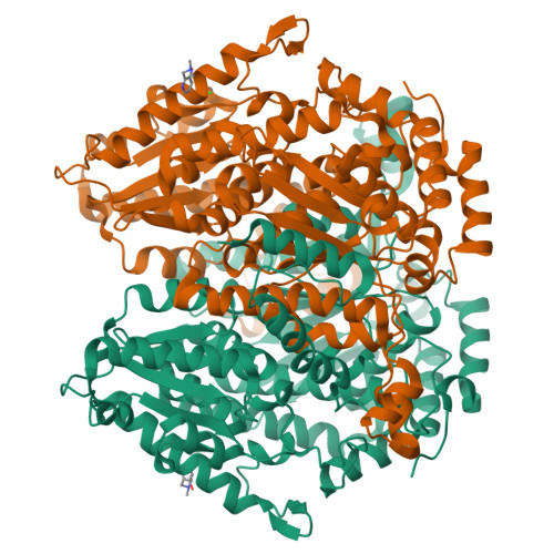 RCSB PDB - 9G45: The structure of Candida albicans phosphoglucose ...