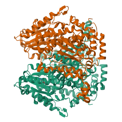 RCSB PDB - 9G4K: The structure of Candida albicans phosphoglucose ...