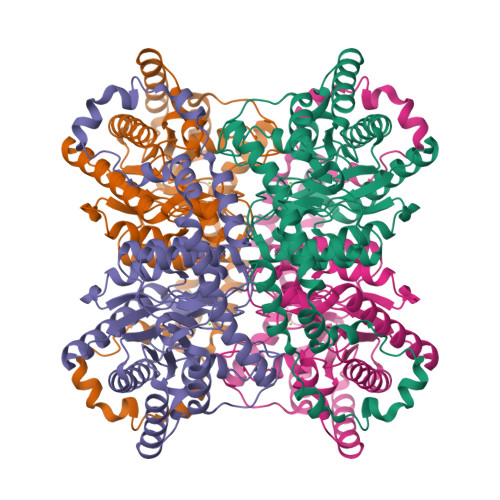 RCSB PDB - 9G5X: Xylose Isomerase collected at 45C using serial fixed ...