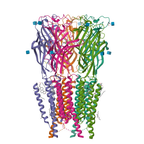 RCSB PDB - 9G62: CryoEM structure of human rho1 GABAA receptor in ...