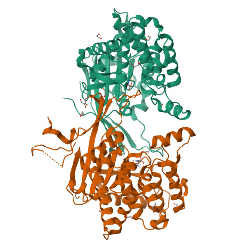 RCSB PDB - 9G67: Crystal structure of Rhizobium etli L-asparaginase ...