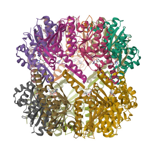 RCSB PDB - 9G72: Crystal structure of S. epidermidis ClpP in complex ...