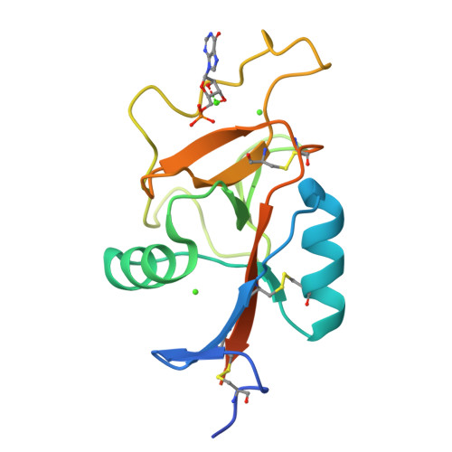 RCSB PDB - 9G7D: Crystal structure of ASGPR with bound IMP