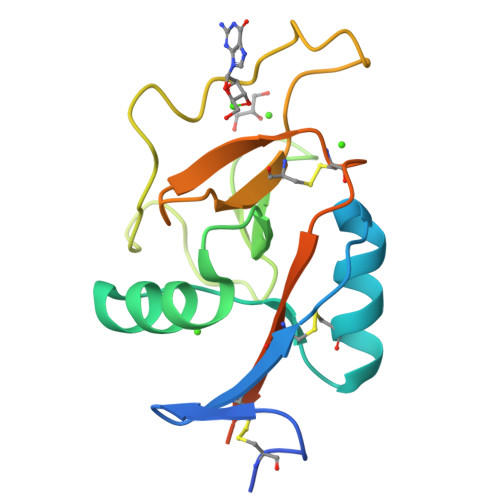 RCSB PDB - 9G7E: Crystal structure of ASGPR with bound guanosine