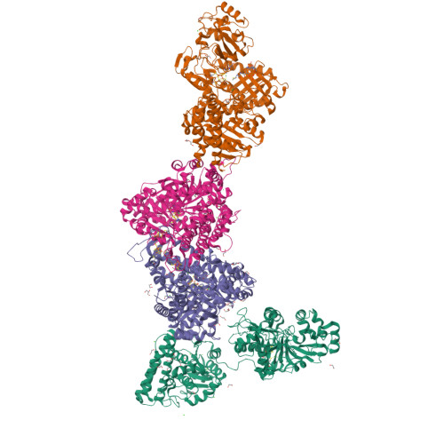 RCSB PDB - 9G7I: Structure of carbon monoxide dehydrogenase/acetyl-CoA ...