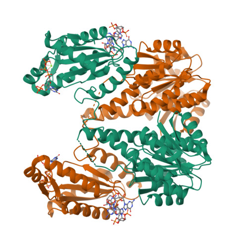RCSB PDB - 9G86: Structure of Response regulator PleD in complex with c ...