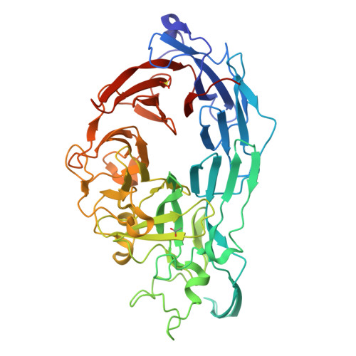 RCSB PDB - 9GAR: Siderophore-binding lipoprotein XusB from Barnesiella ...