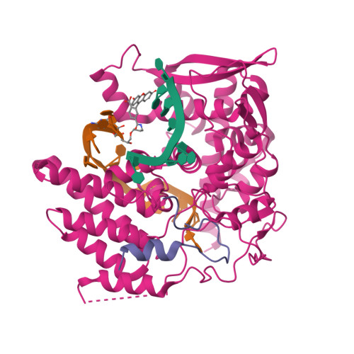 RCSB PDB - 9GAS: Focused reconstruction on strand 2 of the influenza A ...