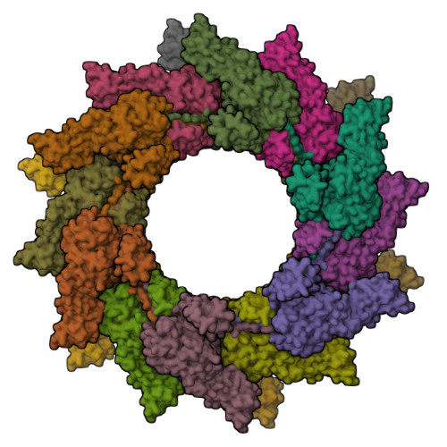 RCSB PDB - 9GB6: Contracted phiCD508 tail