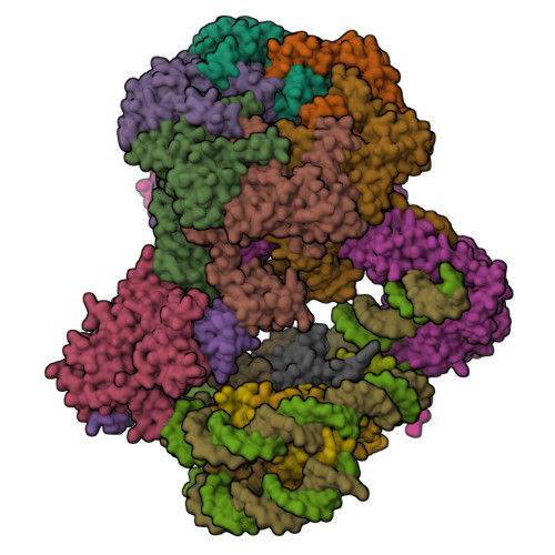 RCSB PDB - 9GCG: CryoEM structure of the human INO80 core- H2A.Z ...