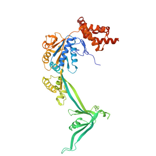 RCSB PDB - 9GCG: CryoEM structure of the human INO80 core- H2A.Z ...
