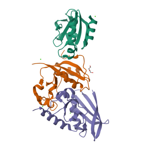 RCSB PDB - 9GCO: Xenorhabdus bovienii Thioredoxin complex with Rhs ...