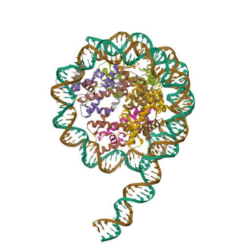 RCSB PDB - 9GF6: CryoEM structure of the human INO80 core-nucleosome ...