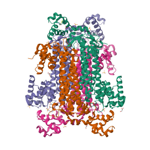 RCSB PDB - 9GGI: Crystal structure of argininosuccinate lyase from ...