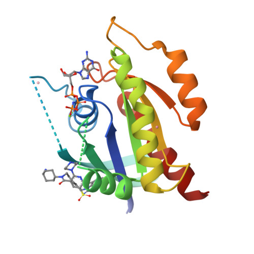 RCSB PDB - 9GH0: Human KRas4A (GMPPNP) in complex with compound 32