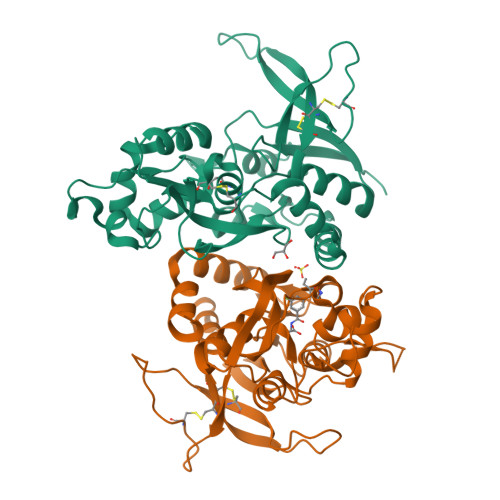 RCSB PDB - 9GIB: NMDA bound to compound 380