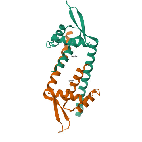 RCSB PDB - 9GKR: Crystal structure of artificial enzyme LmrR_pAF ...