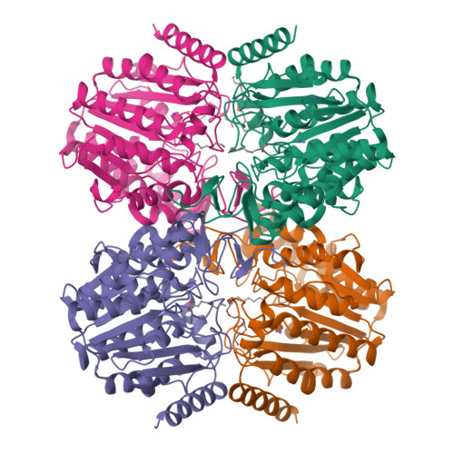 RCSB PDB - 9GKW: Crystal Structure of Dimethoate hydrolase (DmhA) of ...