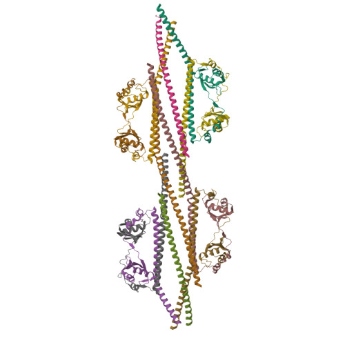 RCSB PDB - 9GLD: NONO/SFPQ filament: local refinement central units ...